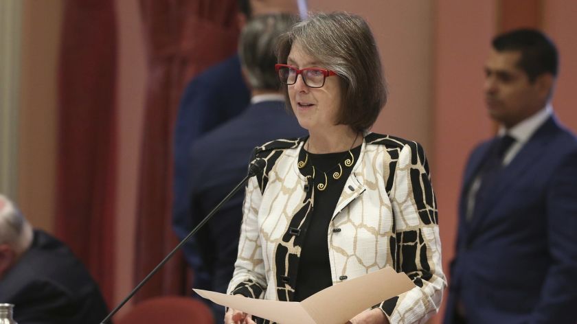 Senator Nancy Skinner wins a second term - Richmond Confidential